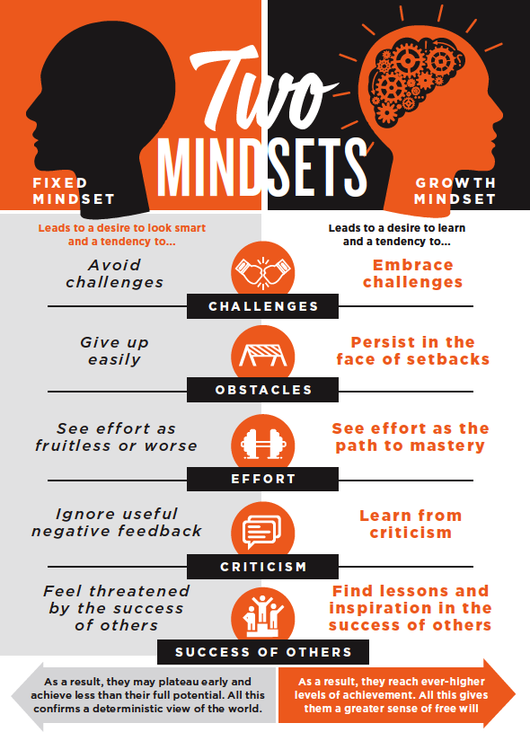 Fixed vs. Growth Mindset: Does The Concept Apply To Cold Approach ...
